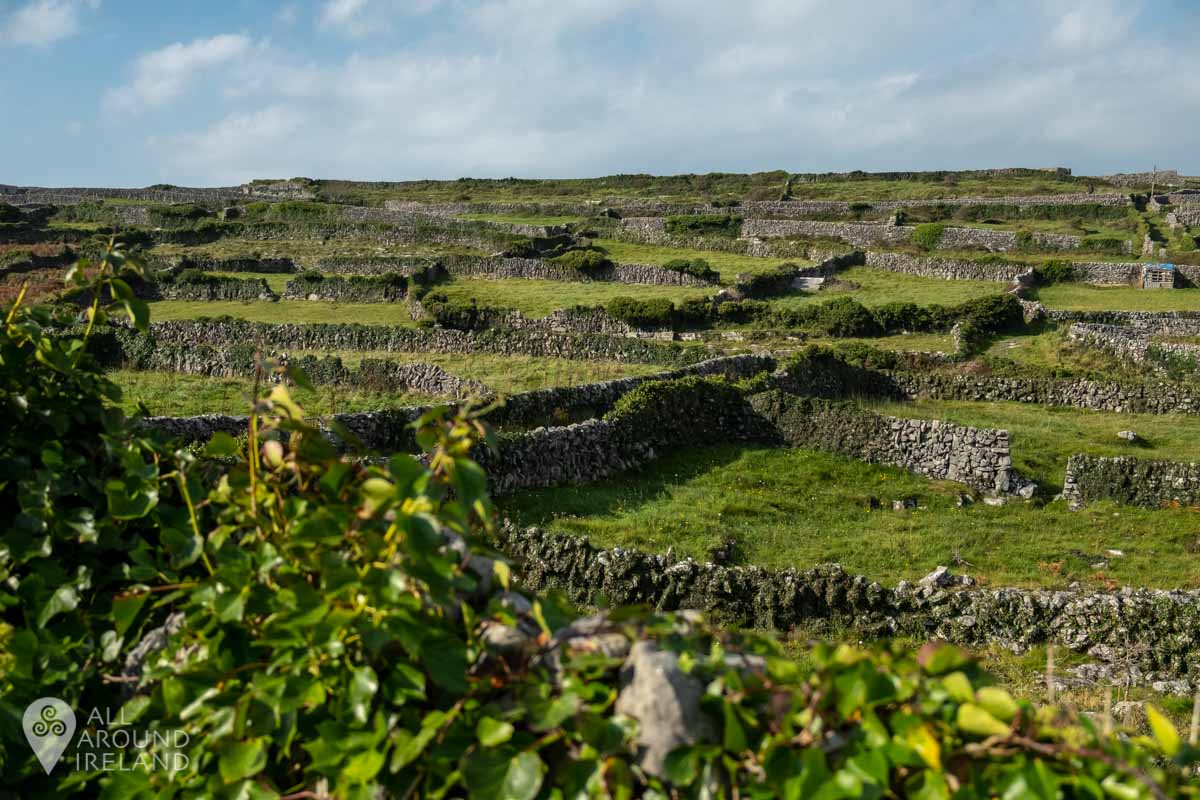 Inis Oirr - 8 • All Around Ireland