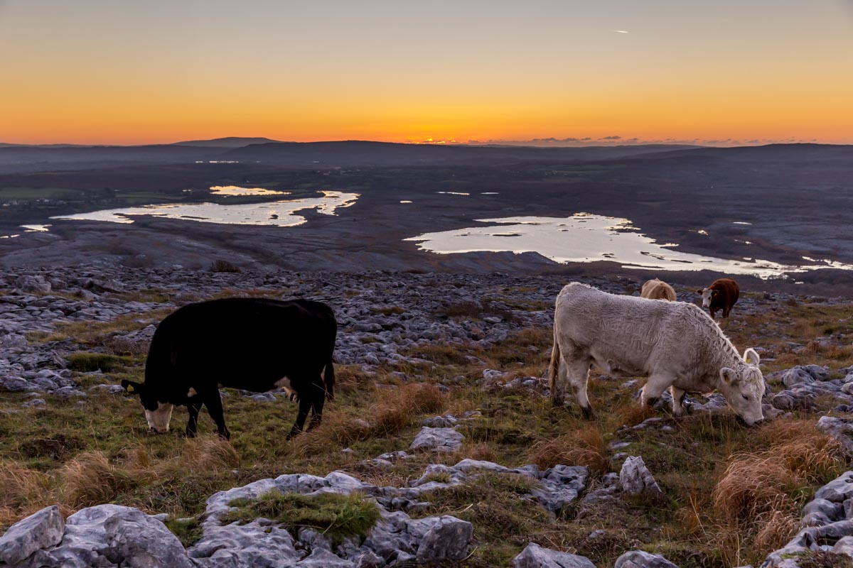 Burren - Mullaghmore Sunset • All Around Ireland