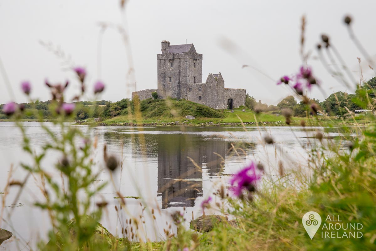 The Burren - Dunguaire Castle • All Around Ireland