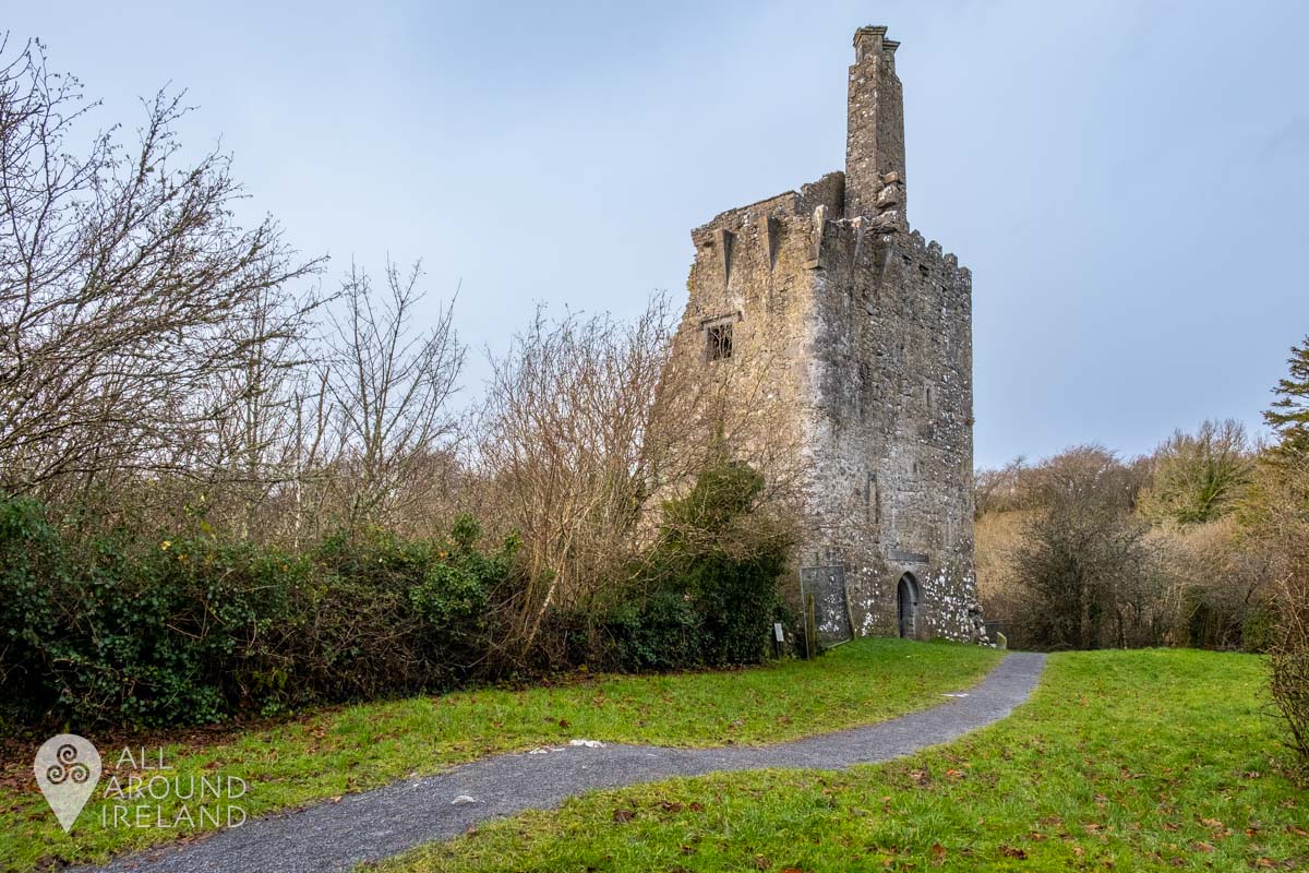 Dromore Wood_06 • All Around Ireland
